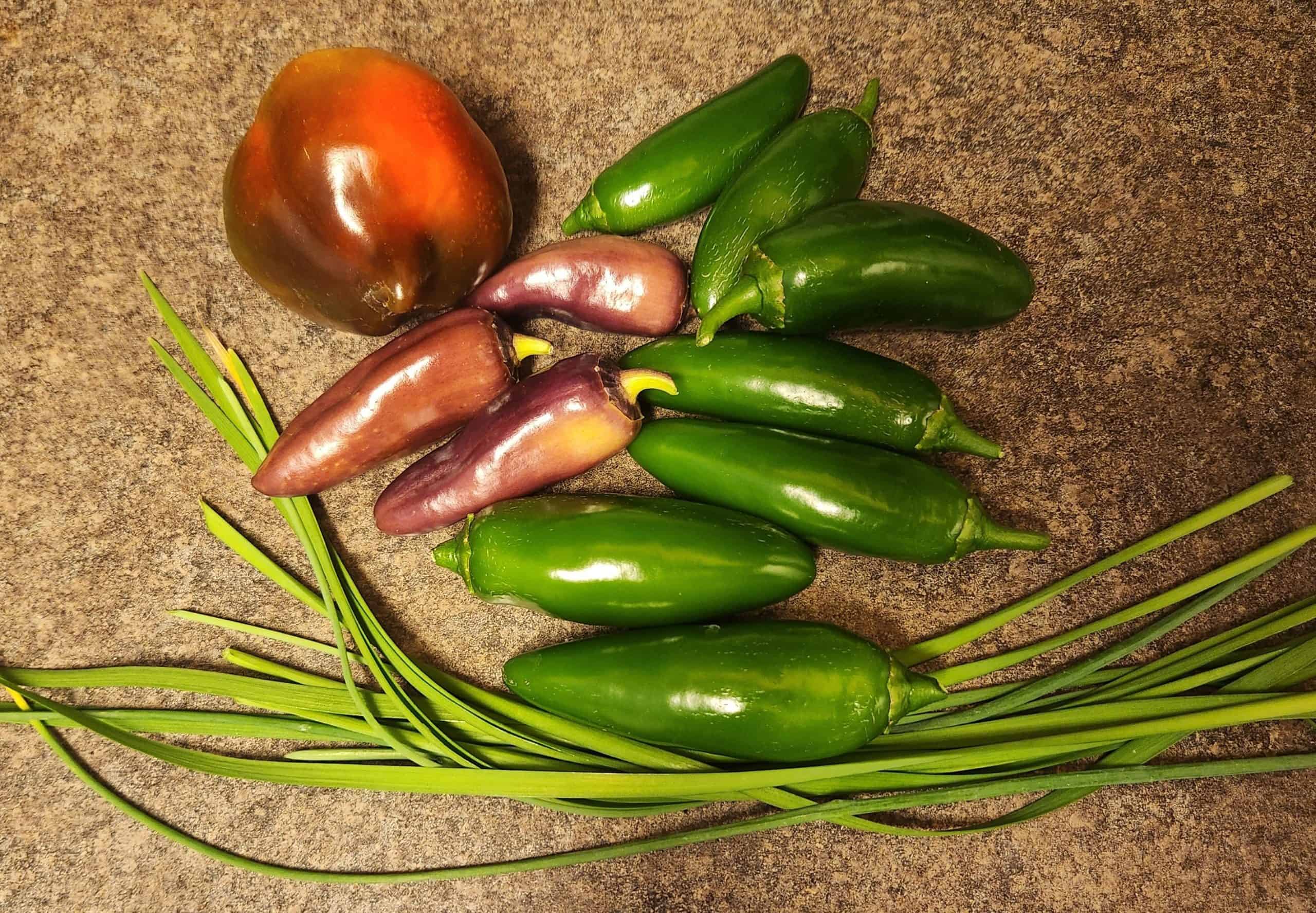 Baker Act Reference Guide (2024) – Parris Law, P.A.